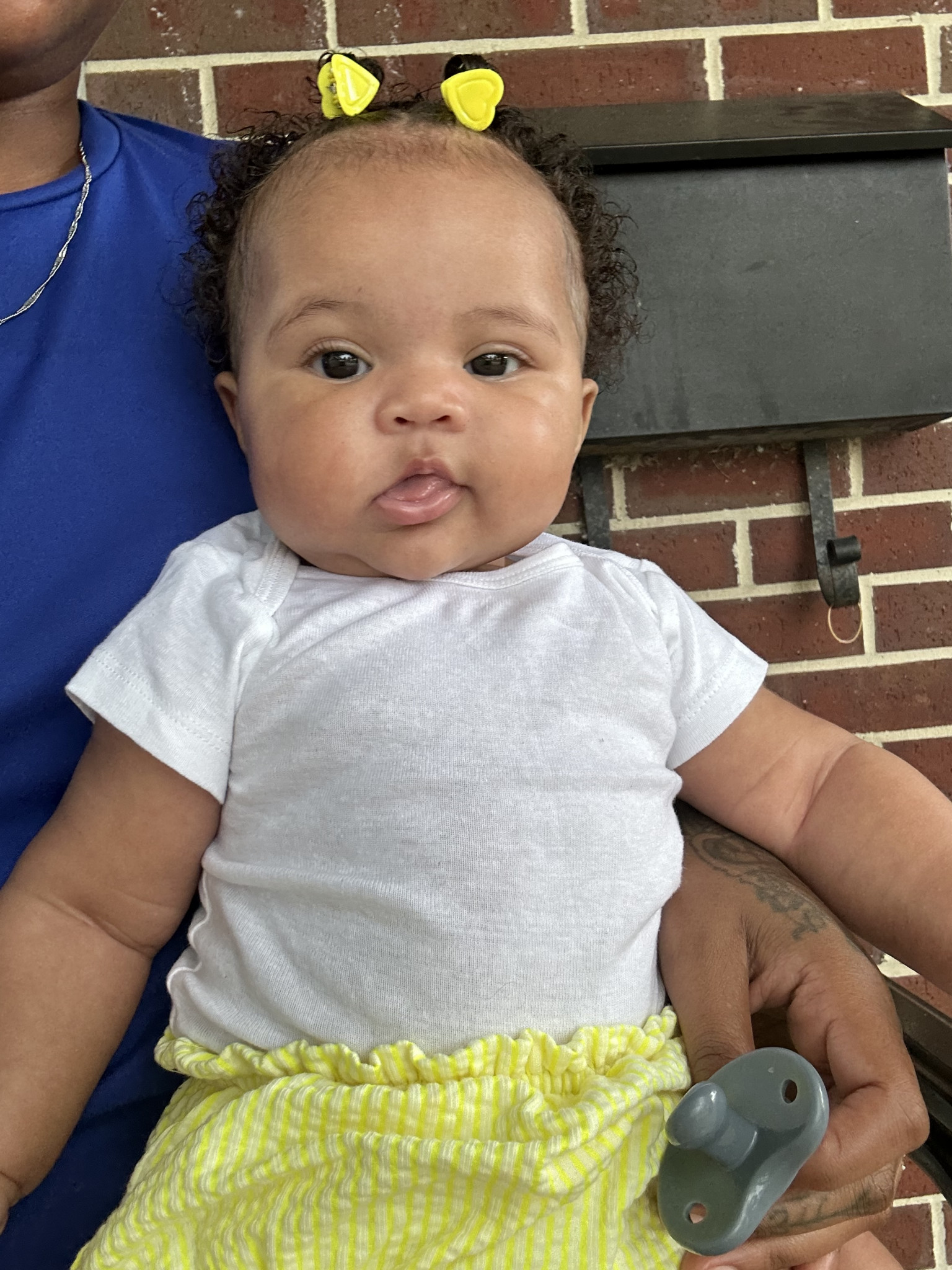 Ar’manii wren | Baby of the Year
