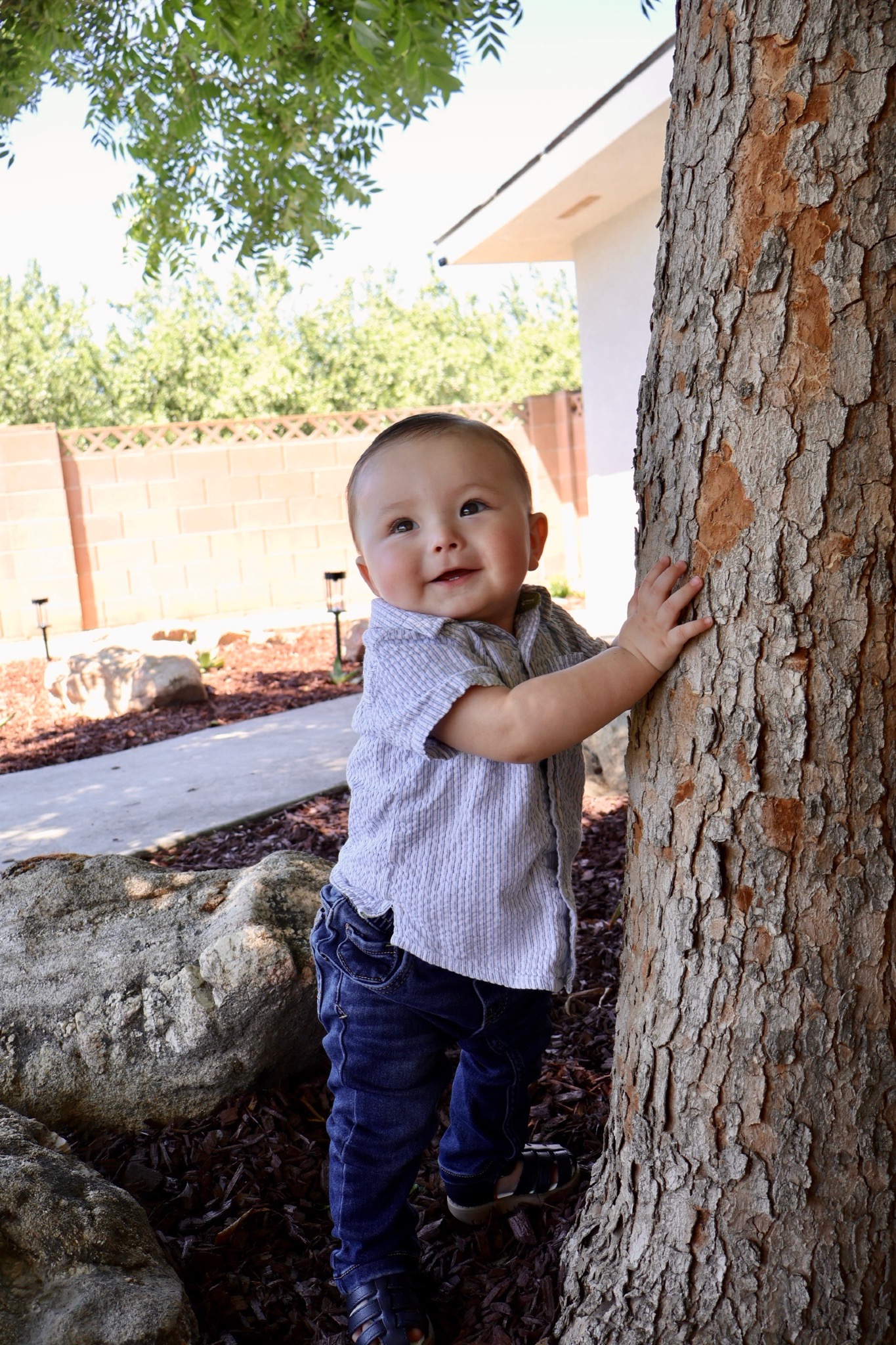 Jaxxon | Baby of the Year