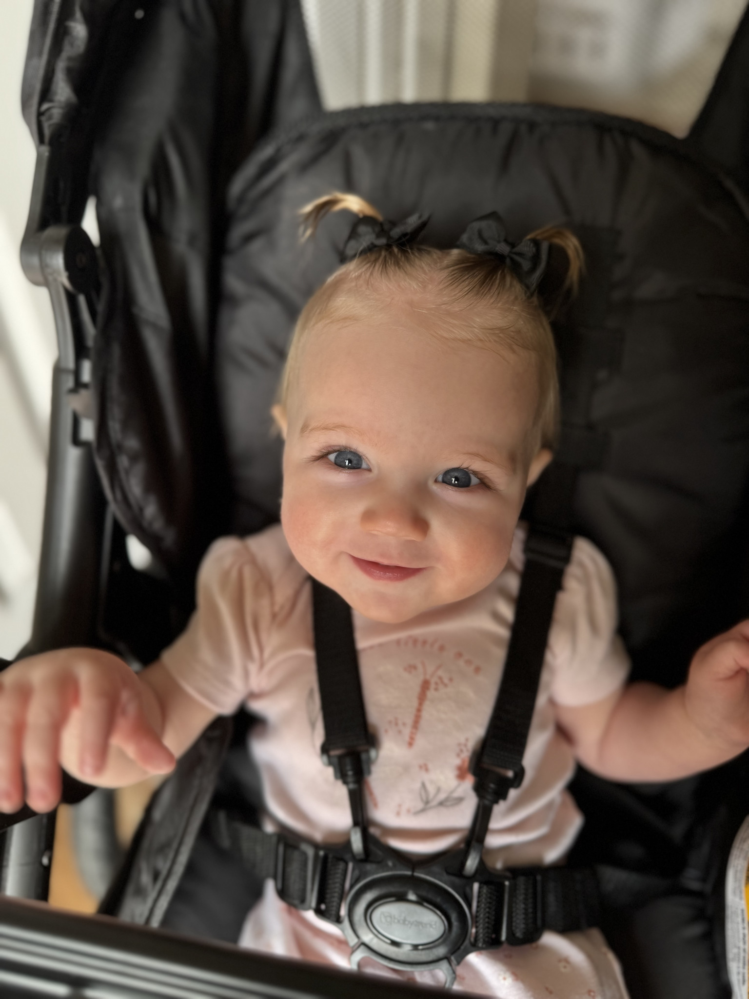 Adaline Fain | Baby of the Year