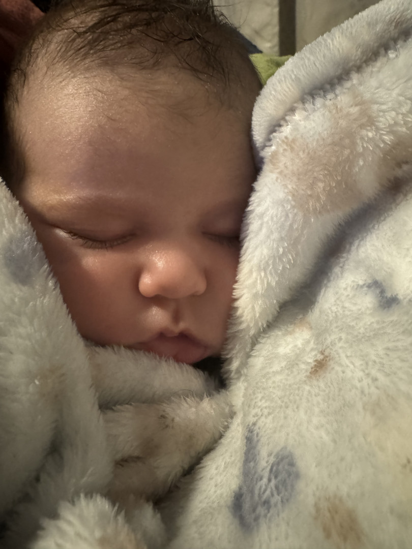 Maverick | Baby of the Year